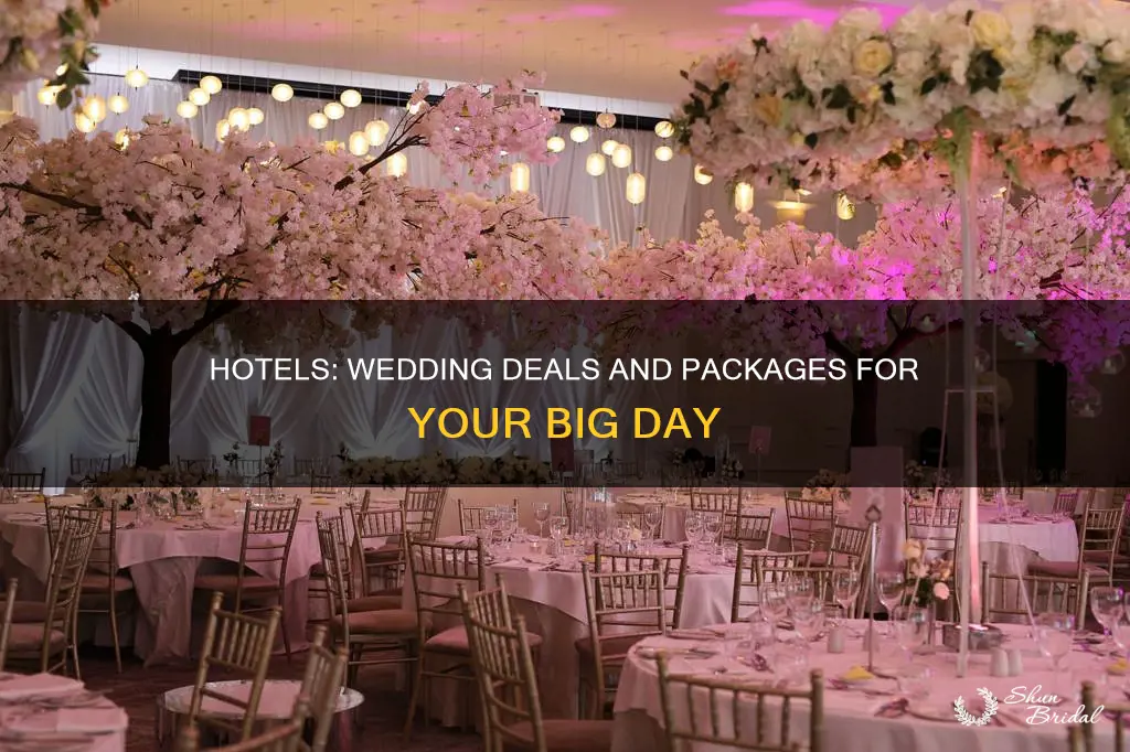 Hotels: Wedding Deals And Packages For Your Big Day | ShunBridal