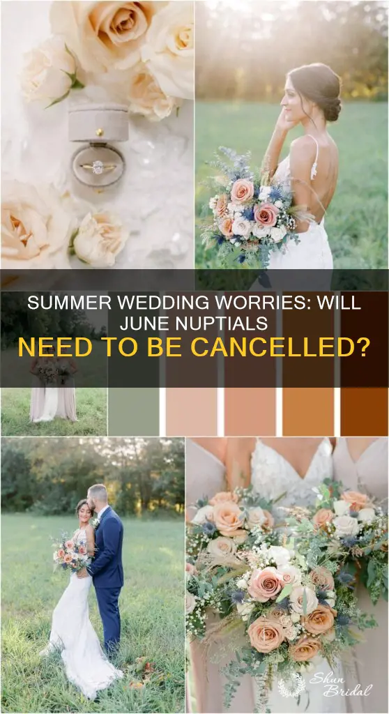 Summer Wedding Worries: Will June Nuptials Need To Be Cancelled ...