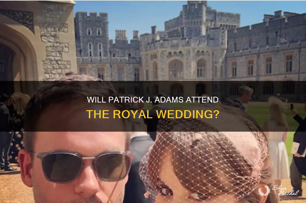 Will Patrick J. Adams Attend The Royal Wedding? | ShunBridal