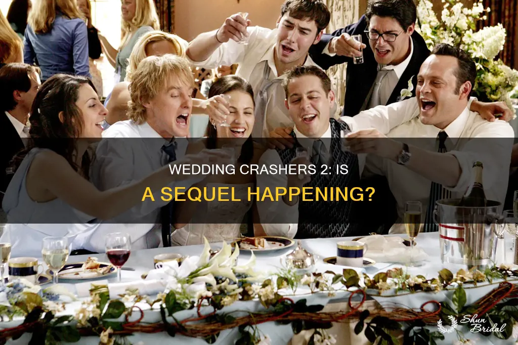 Wedding Crashers 2: Is A Sequel Happening? | ShunBridal