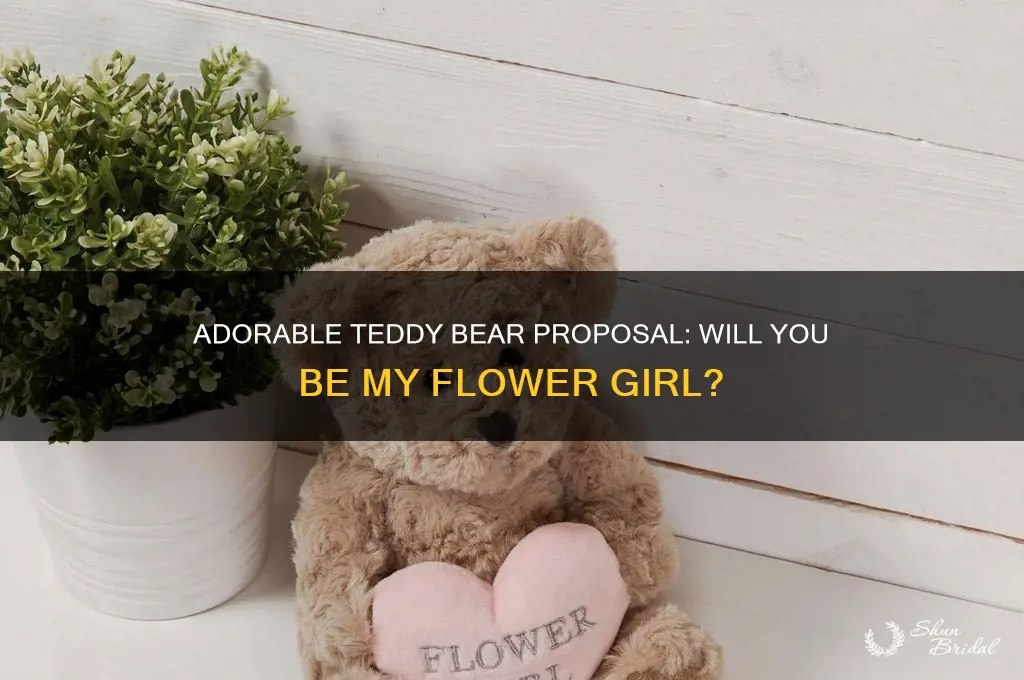 Adorable Teddy Bear Proposal: Will You Be My Flower Girl? | ShunBridal